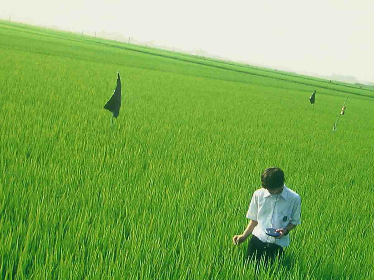 All About Lily Chou-Chou Review: Breathtaking Masterpiece